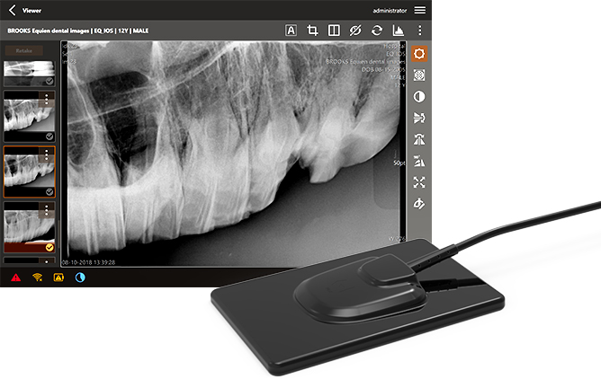 Veterinary Digital X-Ray Imaging Solutions